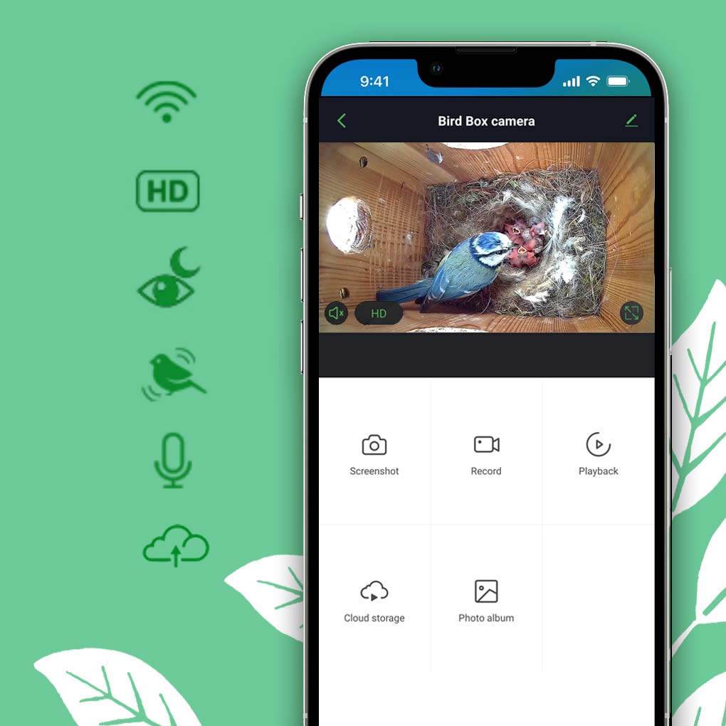 Solar Powered Wi-Fi Bird Box Camera | Green Feathers