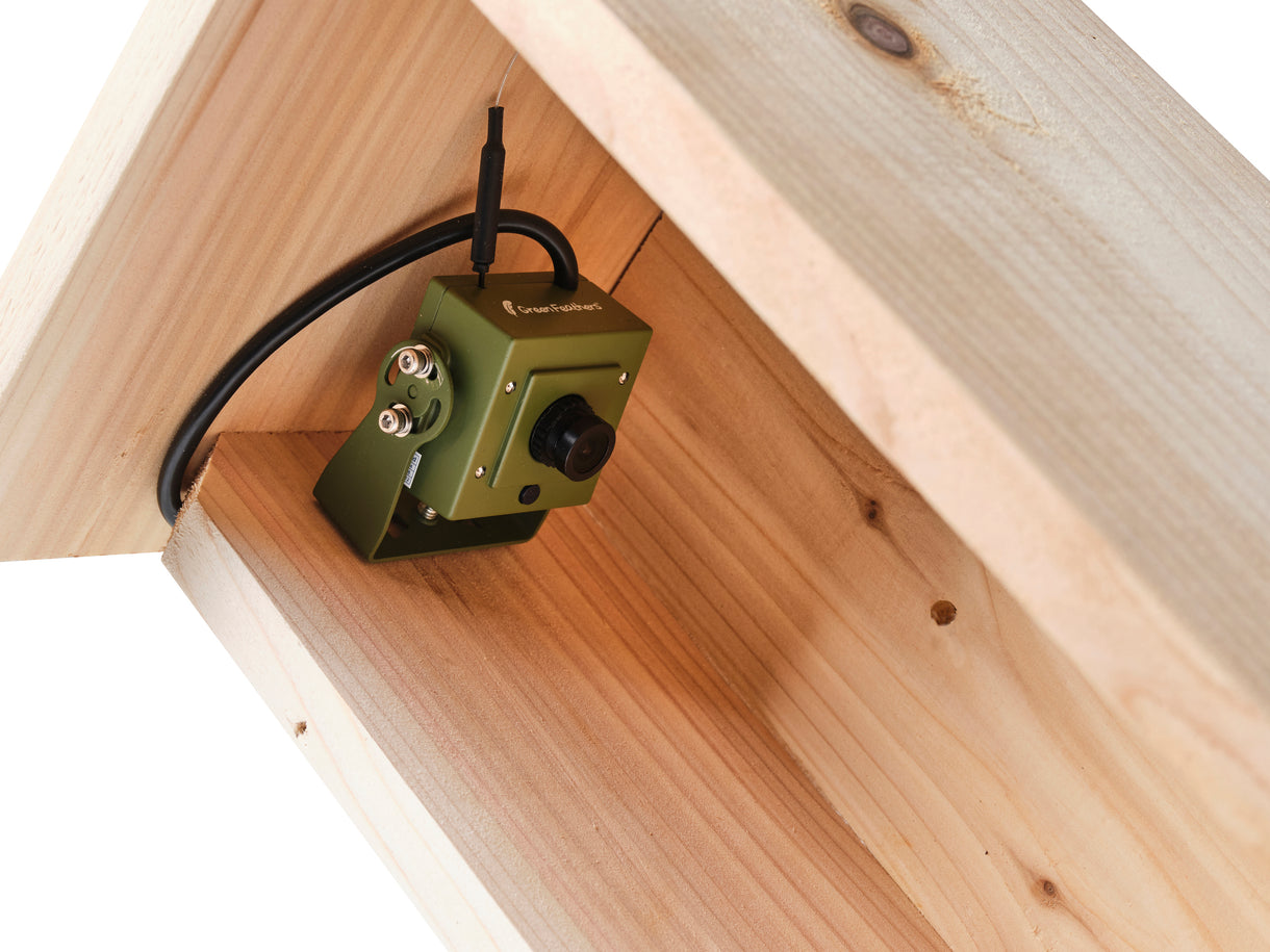 Handmade Wooden Side View Bird Box – Green Feathers