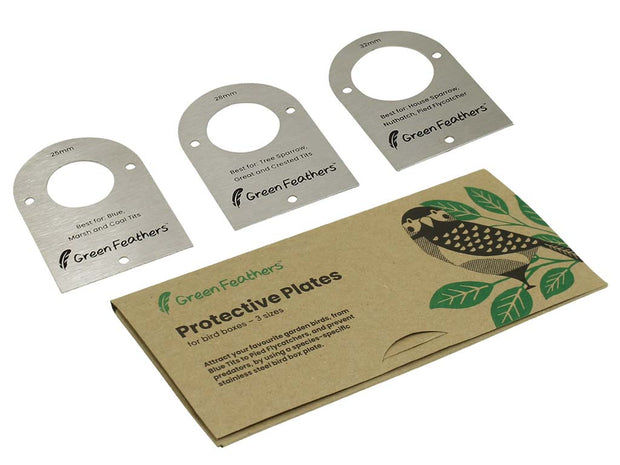 WiFi Bird Box Camera Ultimate Bundle | Green Feathers