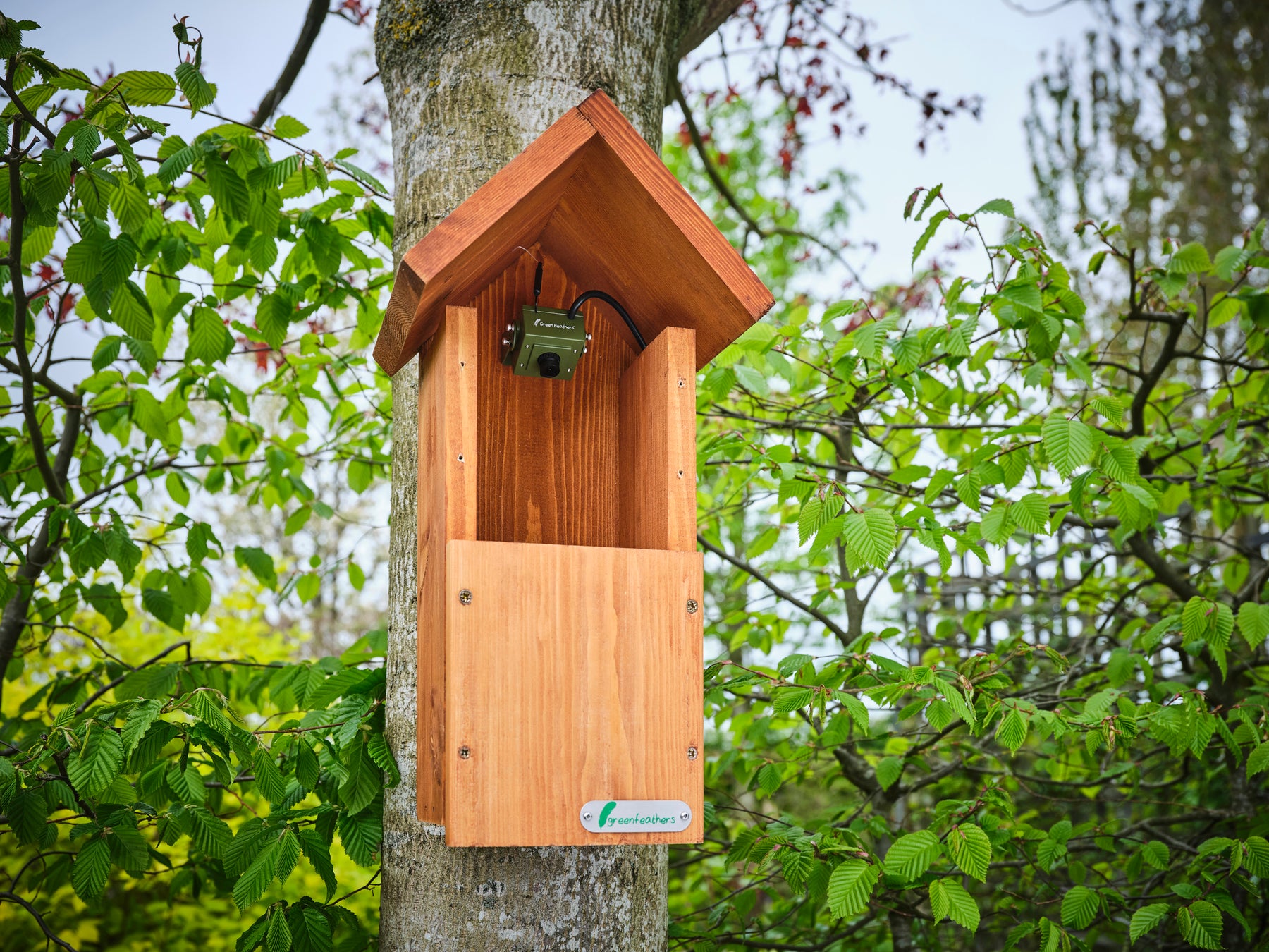 HD Bird Box Camera Kit 1080p WiFi - Complete Set | Green Feathers
