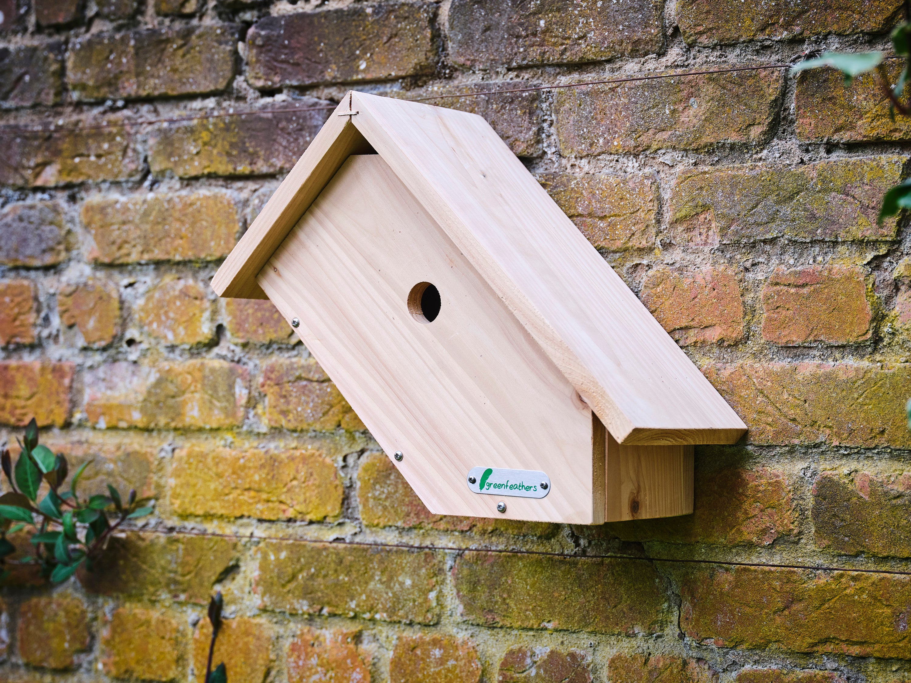 Bird Boxes Nesting Boxes Green Feathers Bird Boxes Nesting Boxes Green Feathers