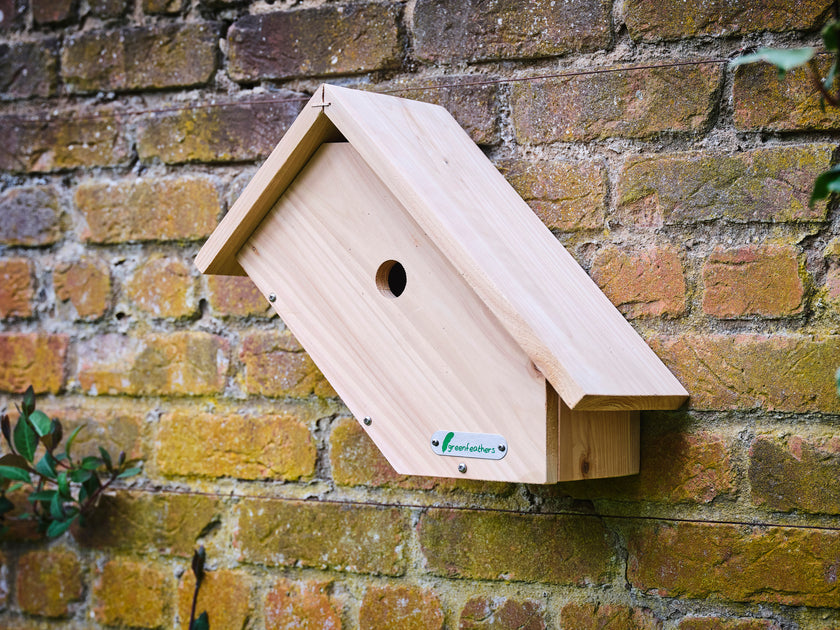 Handmade Wooden Side View Bird Box | Green Feathers