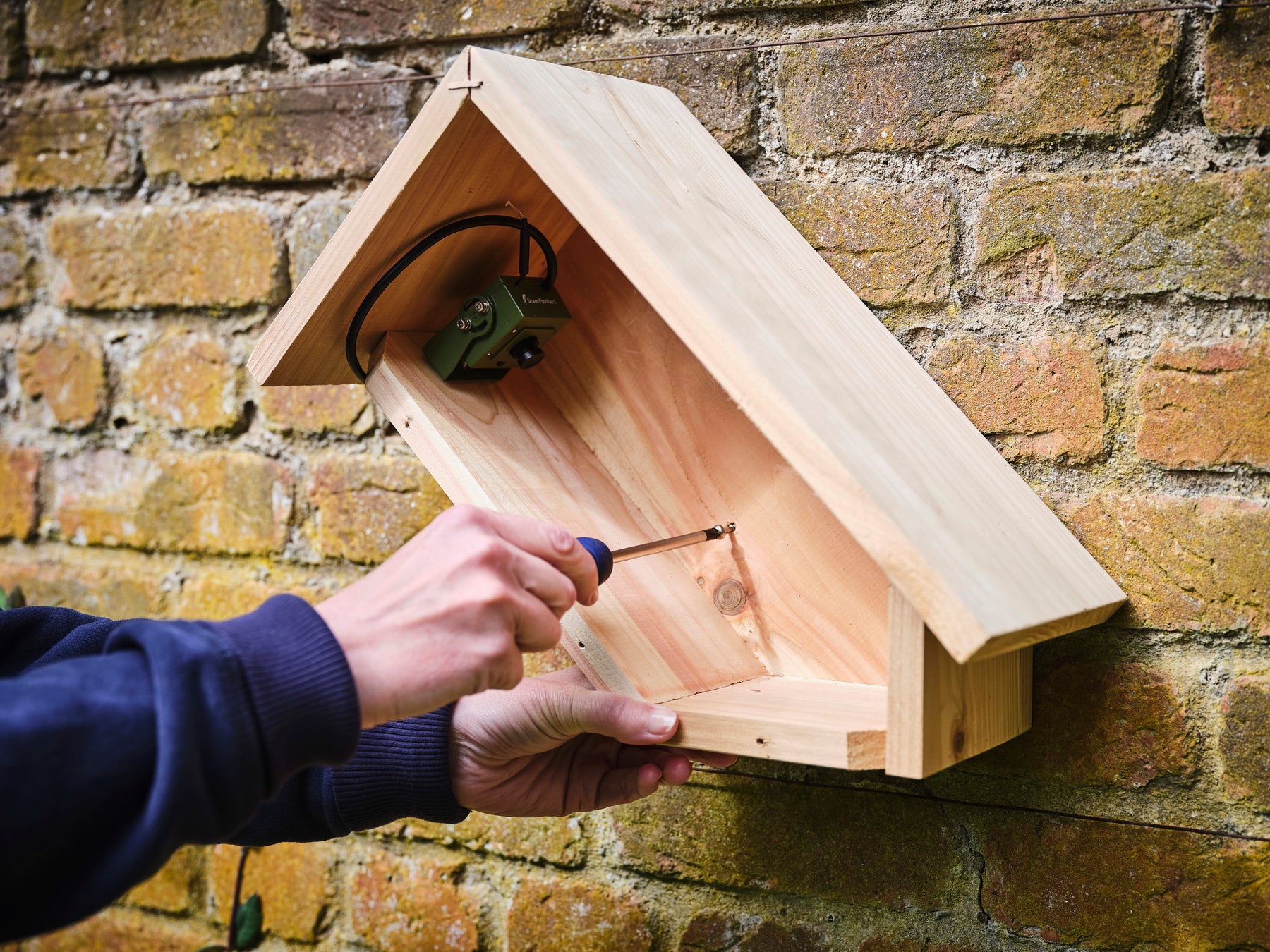 Handmade Wooden Side View Bird Box | Green Feathers