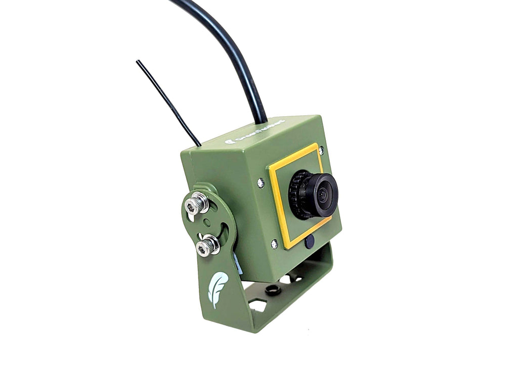 Green Feathers Bird Box Camera with Wireless Transmission