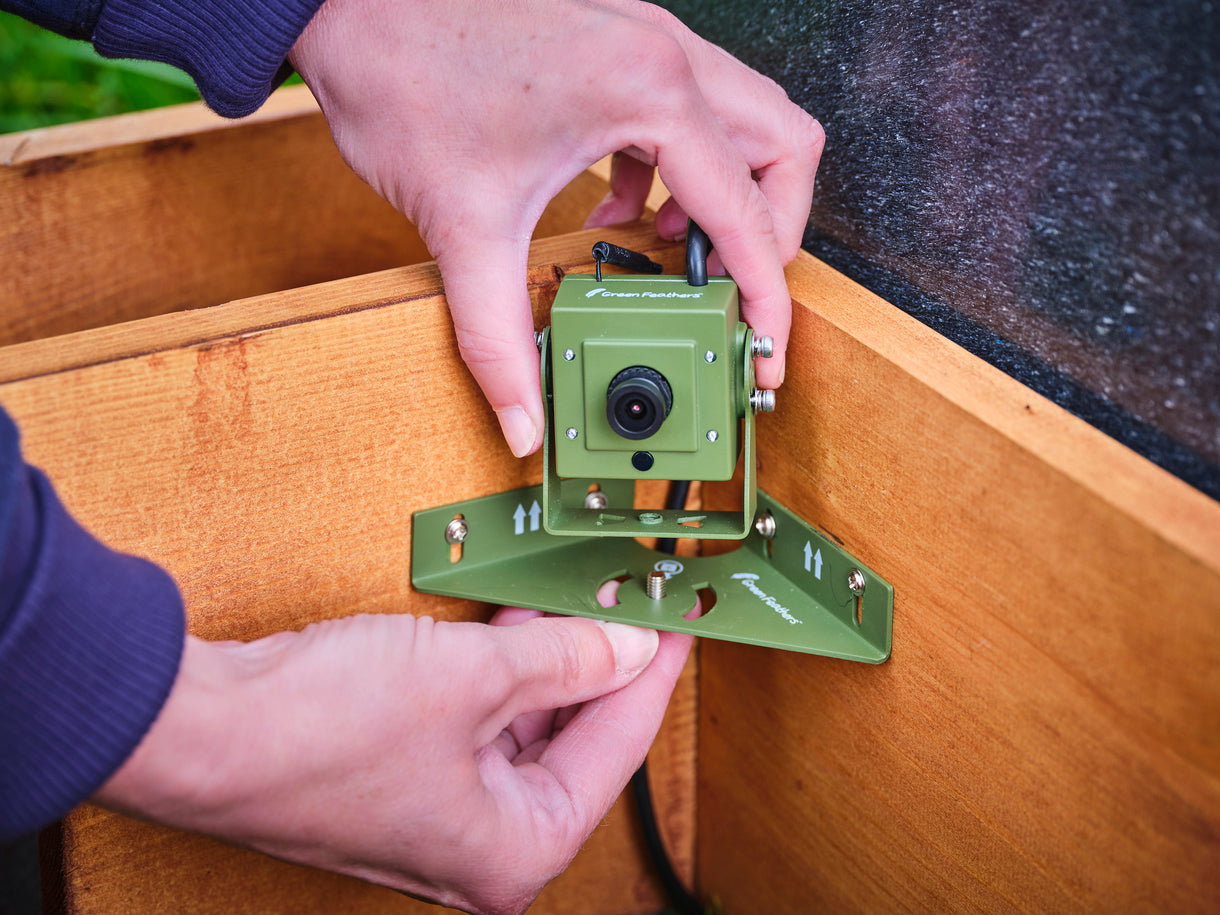 Hedgehog House with WiFi Camera Kit | Green Feathers